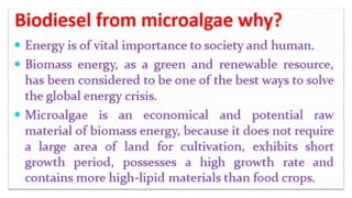 Algal Biofuel Production | PPT