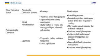 Algal Bioremediation- Aditi.pptx