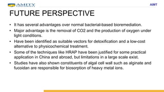 Algal Bioremediation- Aditi.pptx
