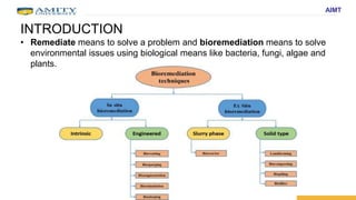 Algal Bioremediation- Aditi.pptx
