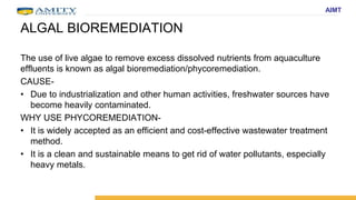 Algal Bioremediation- Aditi.pptx