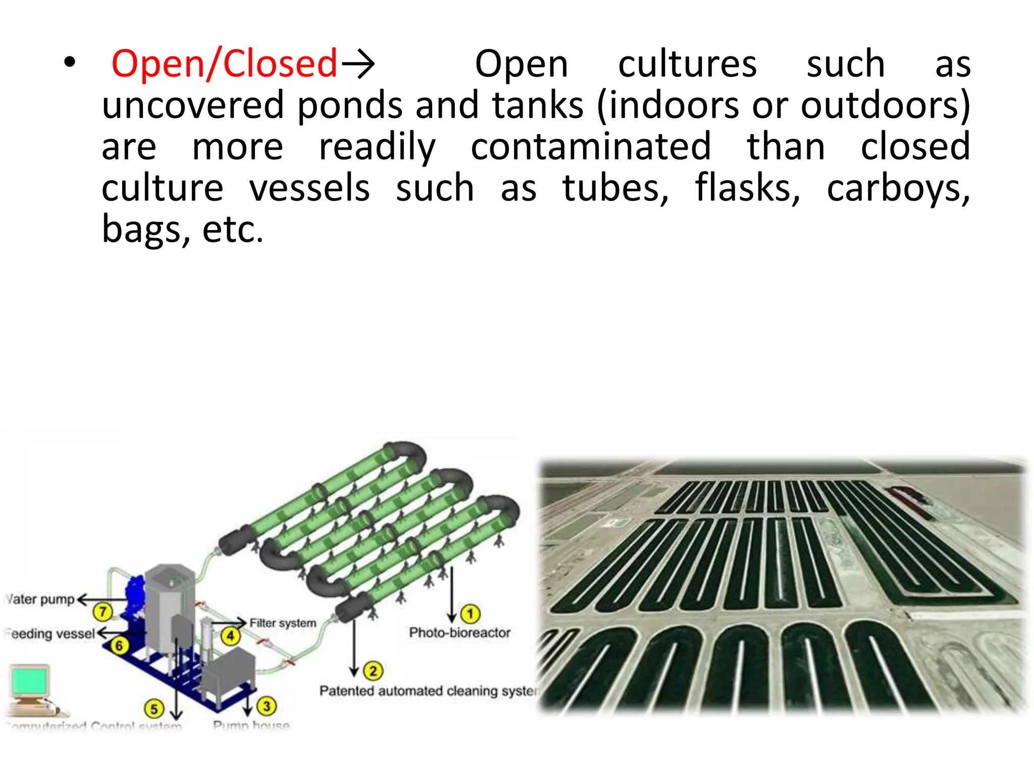Algal biotechnology Biotechnological approaches for production of ...