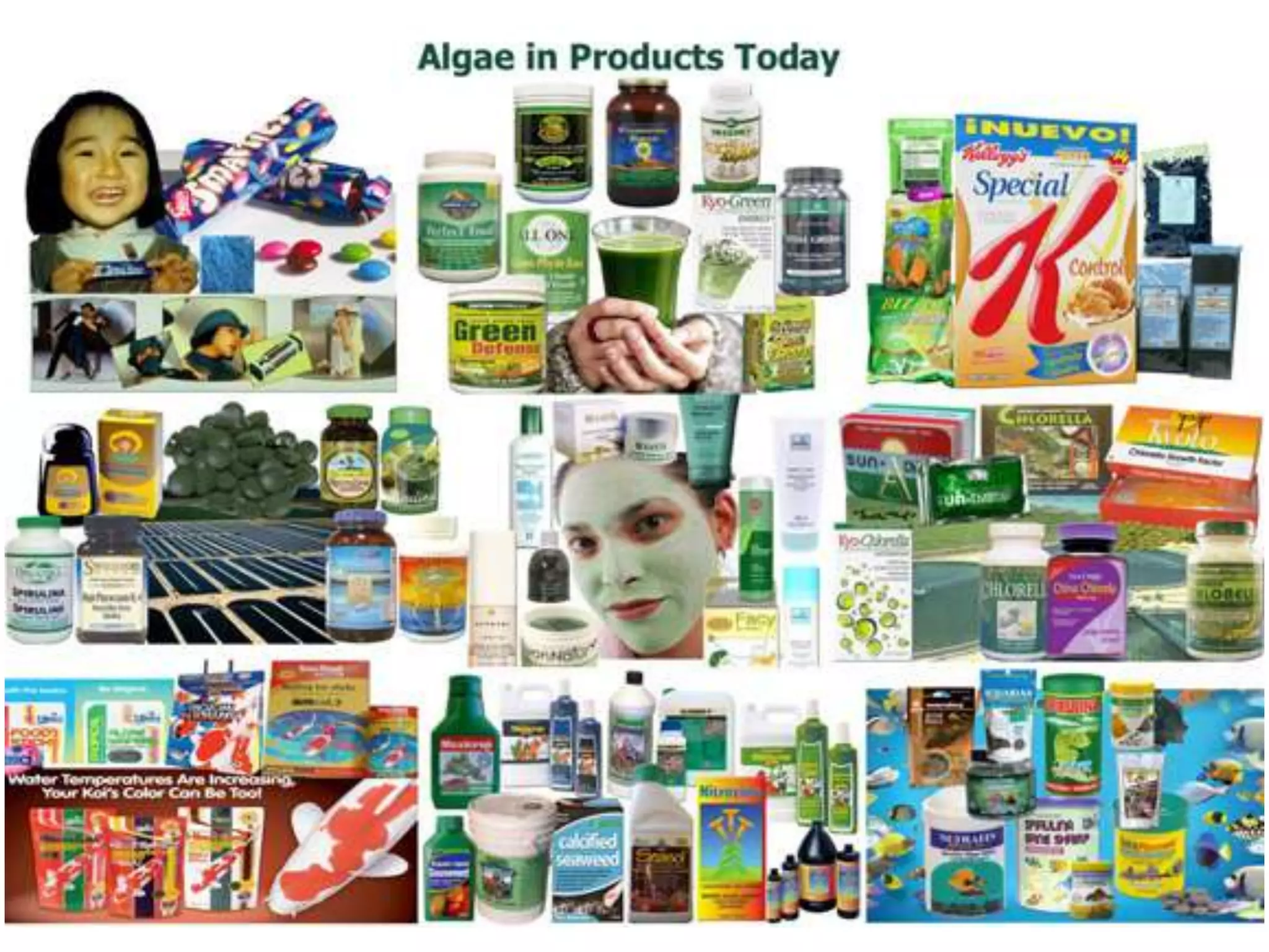 Algal biotechnology Biotechnological approaches for production of ...