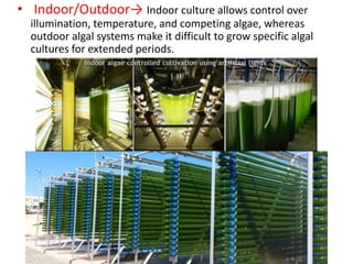 Algal biotechnology Biotechnological approaches for production of ...