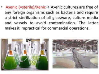 Algal biotechnology Biotechnological approaches for production of ...
