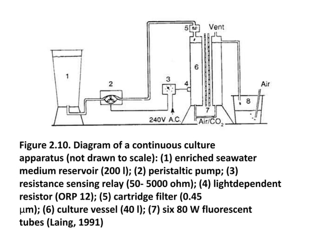 Algal biotechnology Biotechnological approaches for production of ...