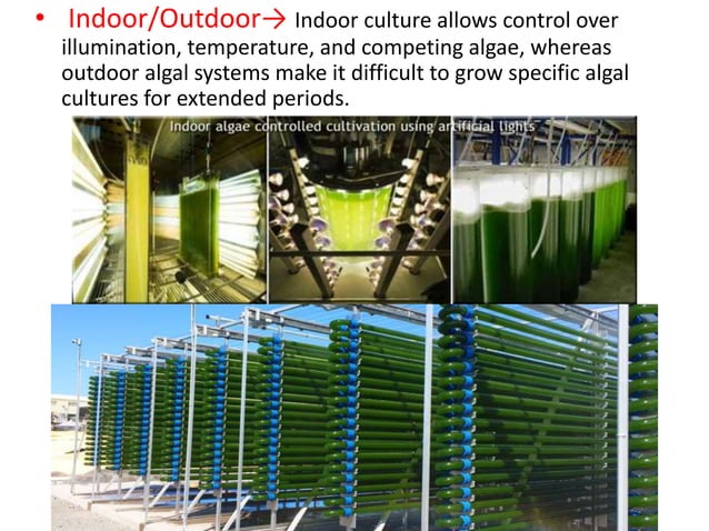 Algal biotechnology Biotechnological approaches for production of ...