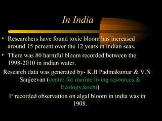Algal bloom | PPT