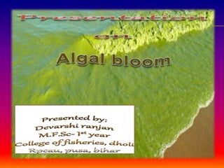Algal bloom | PPTX