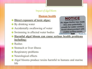 Algal bloom | PPTX