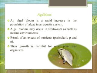 Algal bloom | PPTX