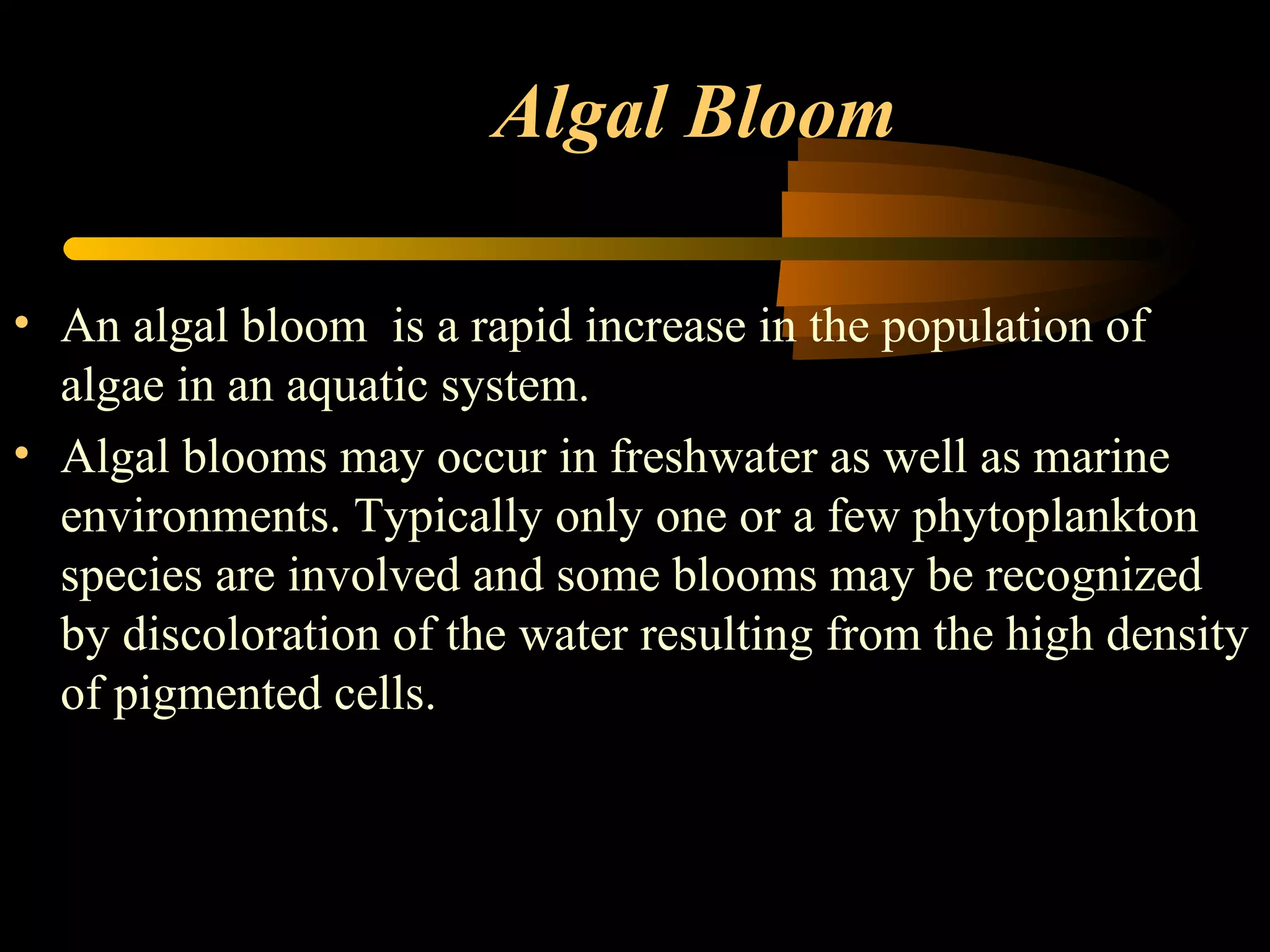 Algal bloom cof2012 | PPT