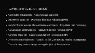 Algal bloom and its economic impacts pptx | PPT
