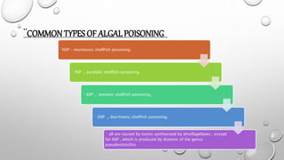 Algal bloom & thier control | PPTX