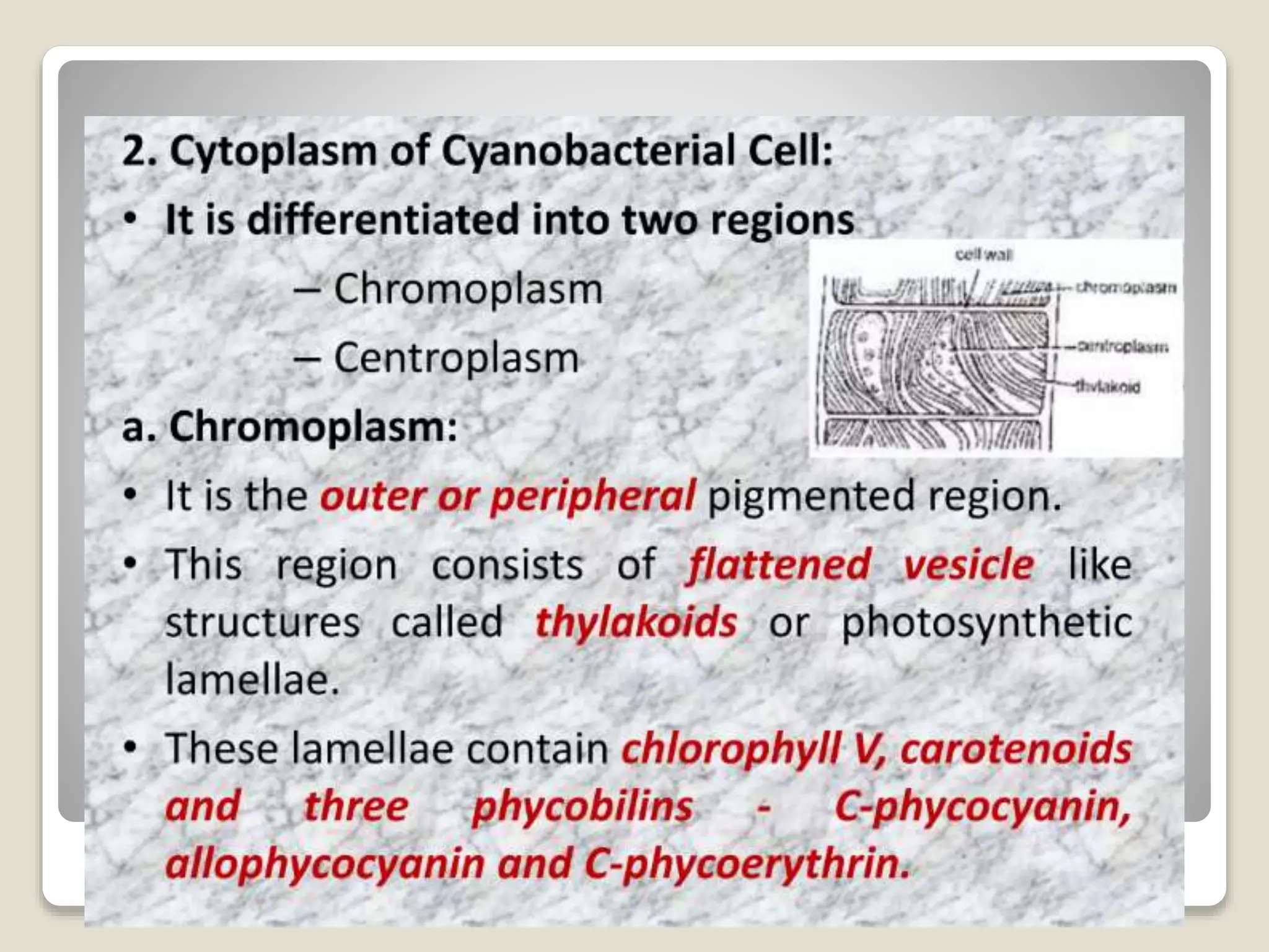 Structure of micro and macro algal cells | PPT