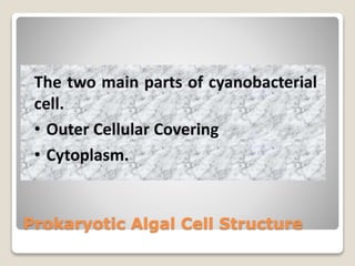 Structure of micro and macro algal cells | PPT