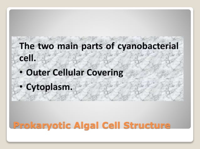 Structure of micro and macro algal cells | PPT