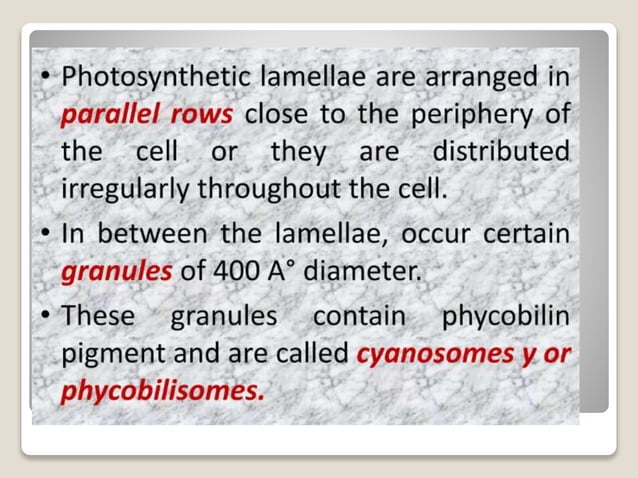 Structure of micro and macro algal cells | PPTX