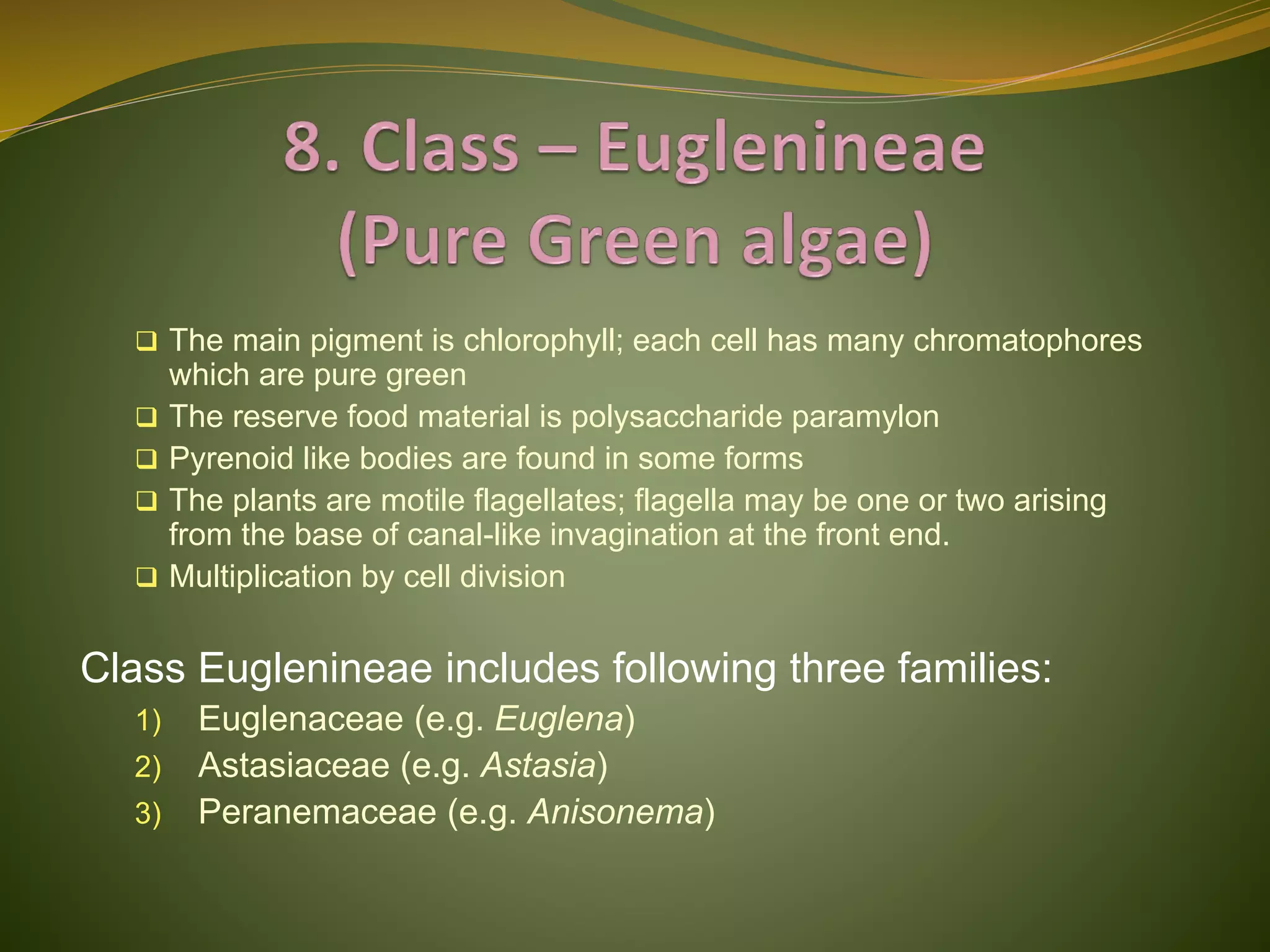 Classification of Algae | PDF