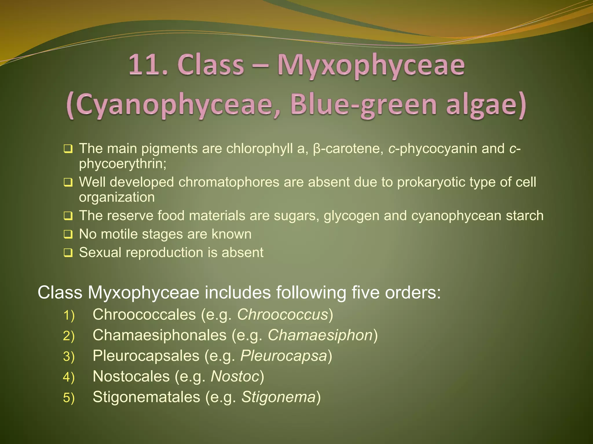 Classification of Algae | PDF