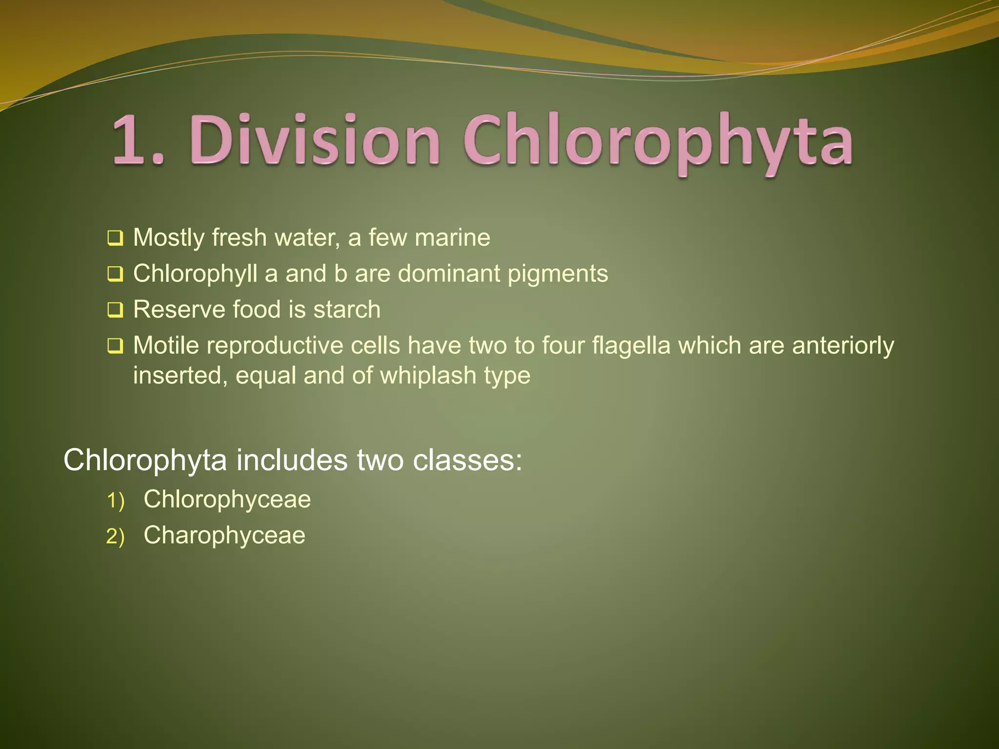 Classification of Algae | PDF