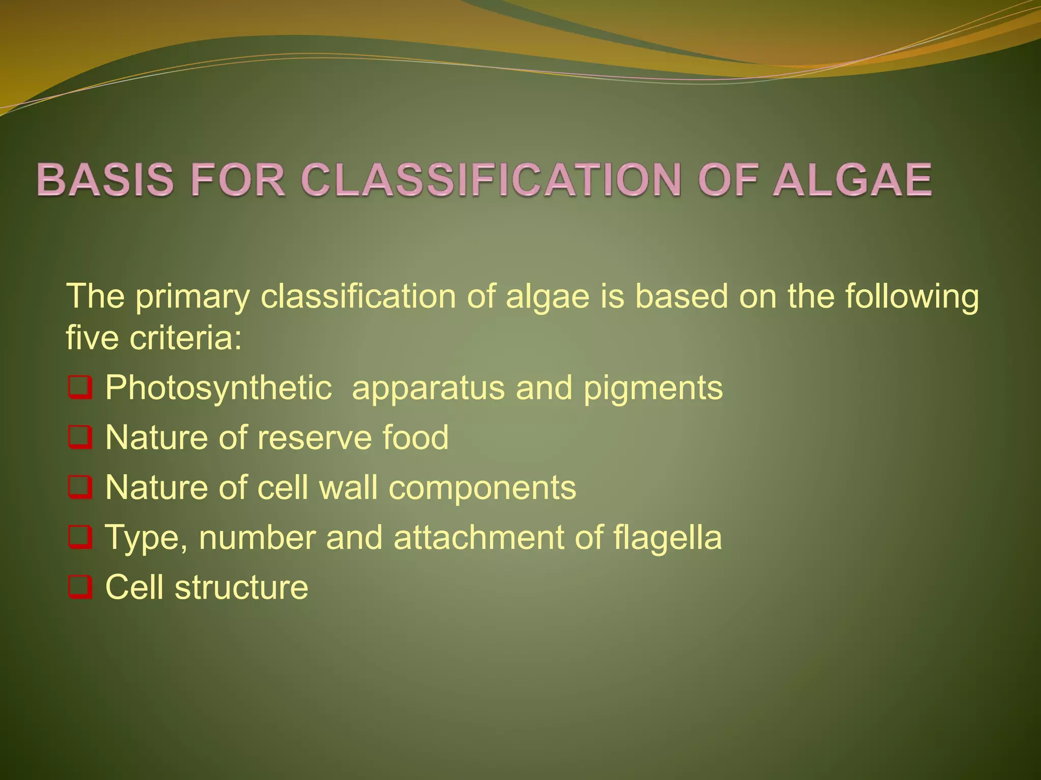 Classification of Algae | PDF