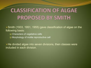 Classification of Algae | PDF