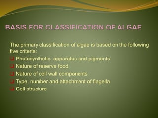 Classification of Algae | PDF