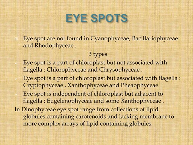 Algal classification on the basis of chloroplast pigment | PPTX
