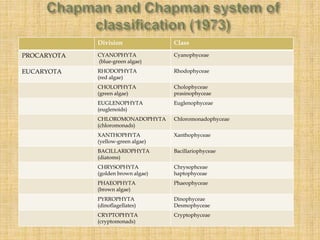 Algal classification on the basis of chloroplast pigment | PPTX