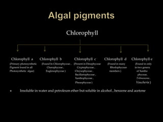 Algal classification on the basis of chloroplast pigment | PPTX