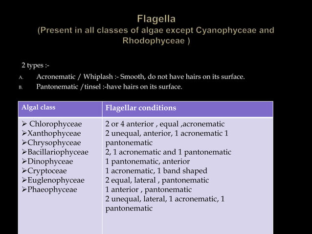 Algal classification on the basis of chloroplast pigment | PPTX