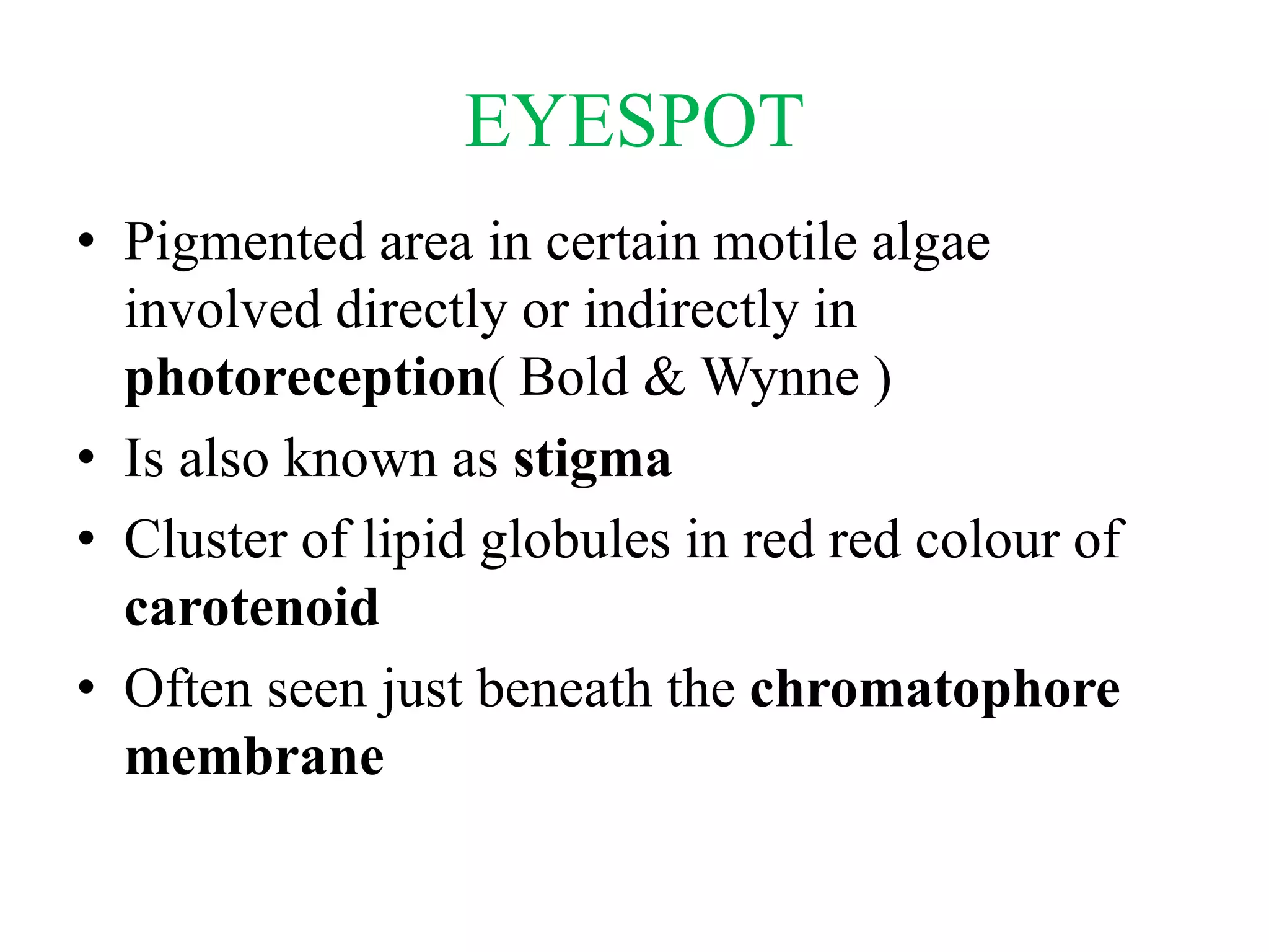 Algal eyespot | PPTX