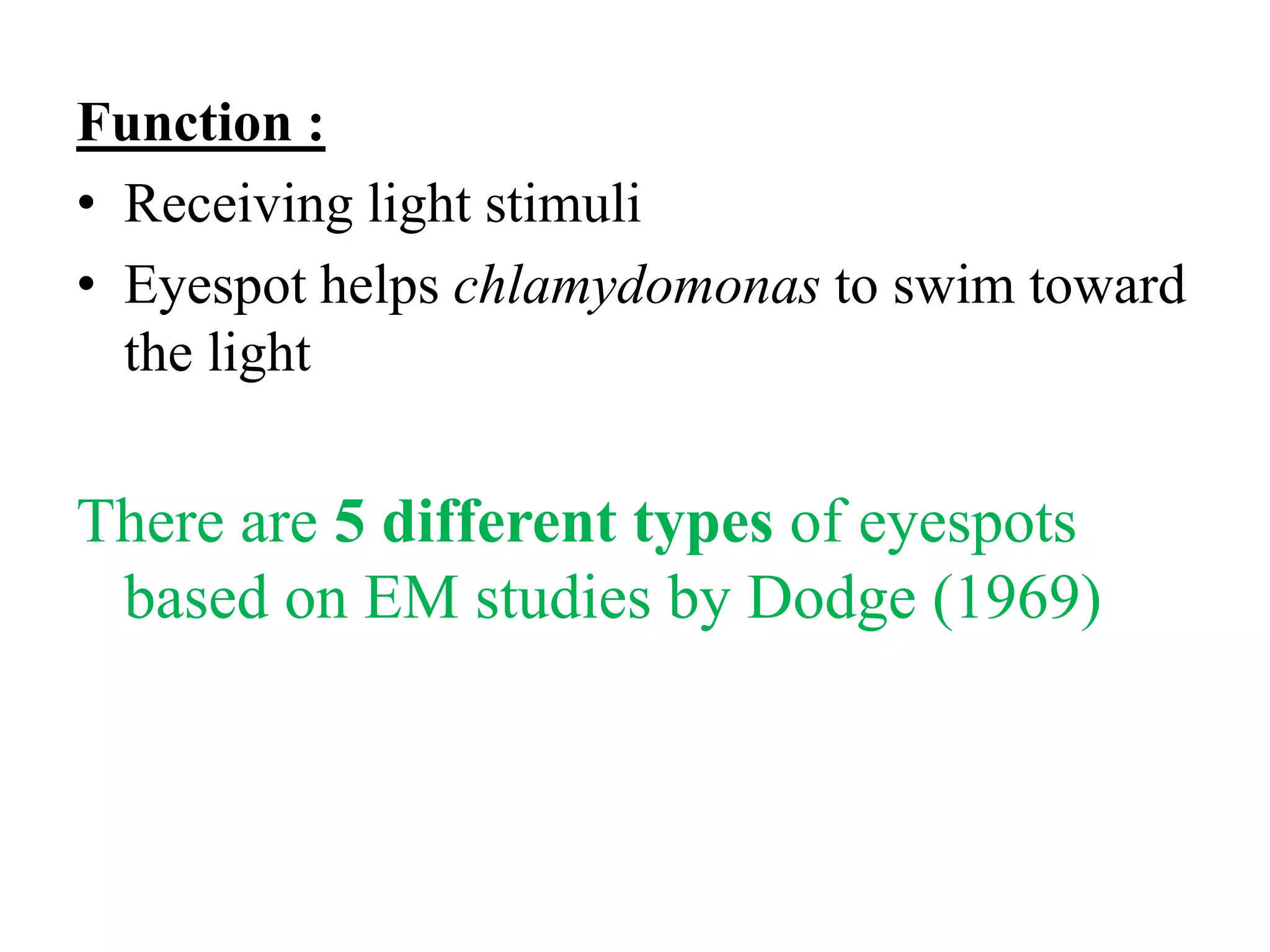 Algal eyespot | PPTX