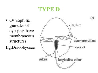 A Labeled Eyespot