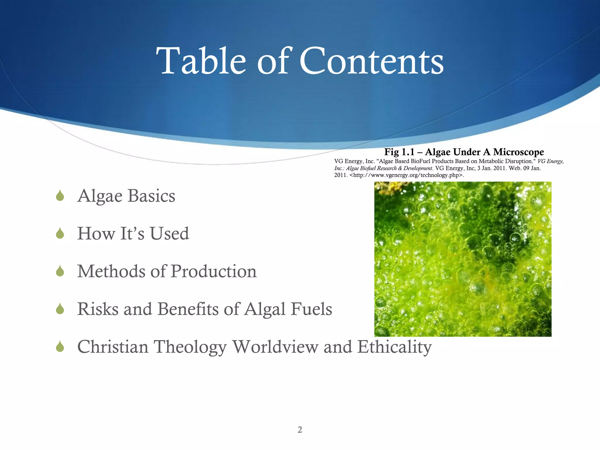 Algal fuels presentation final | PPT | Biotech and Biomedical Industry ...