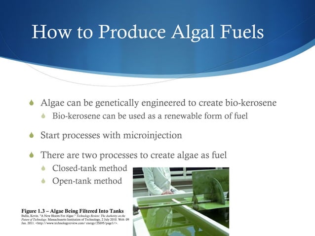 Algal fuels presentation final | PPT