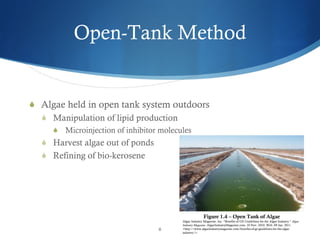 Algal fuels presentation final | PPT | Biotech and Biomedical Industry ...