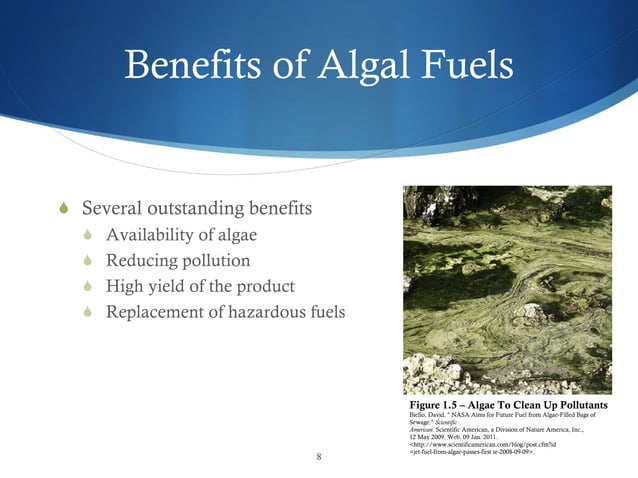 Algal fuels presentation final | PPT