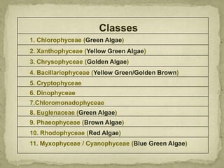 Introduction to Algal Classification: Part-1 | PDF | Geography | Science