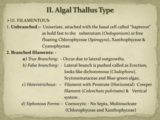 Introduction to Algal Classification: Part-1 | PDF