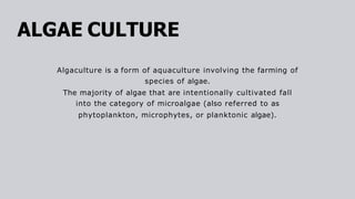 Algal Outdoor cultivation PPT.pptx