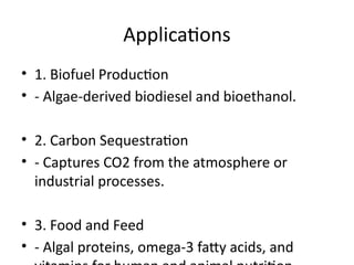 Algal_Photobioreactors_Presentation.pptx