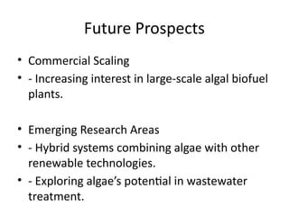 Algal_Photobioreactors_Presentation.pptx