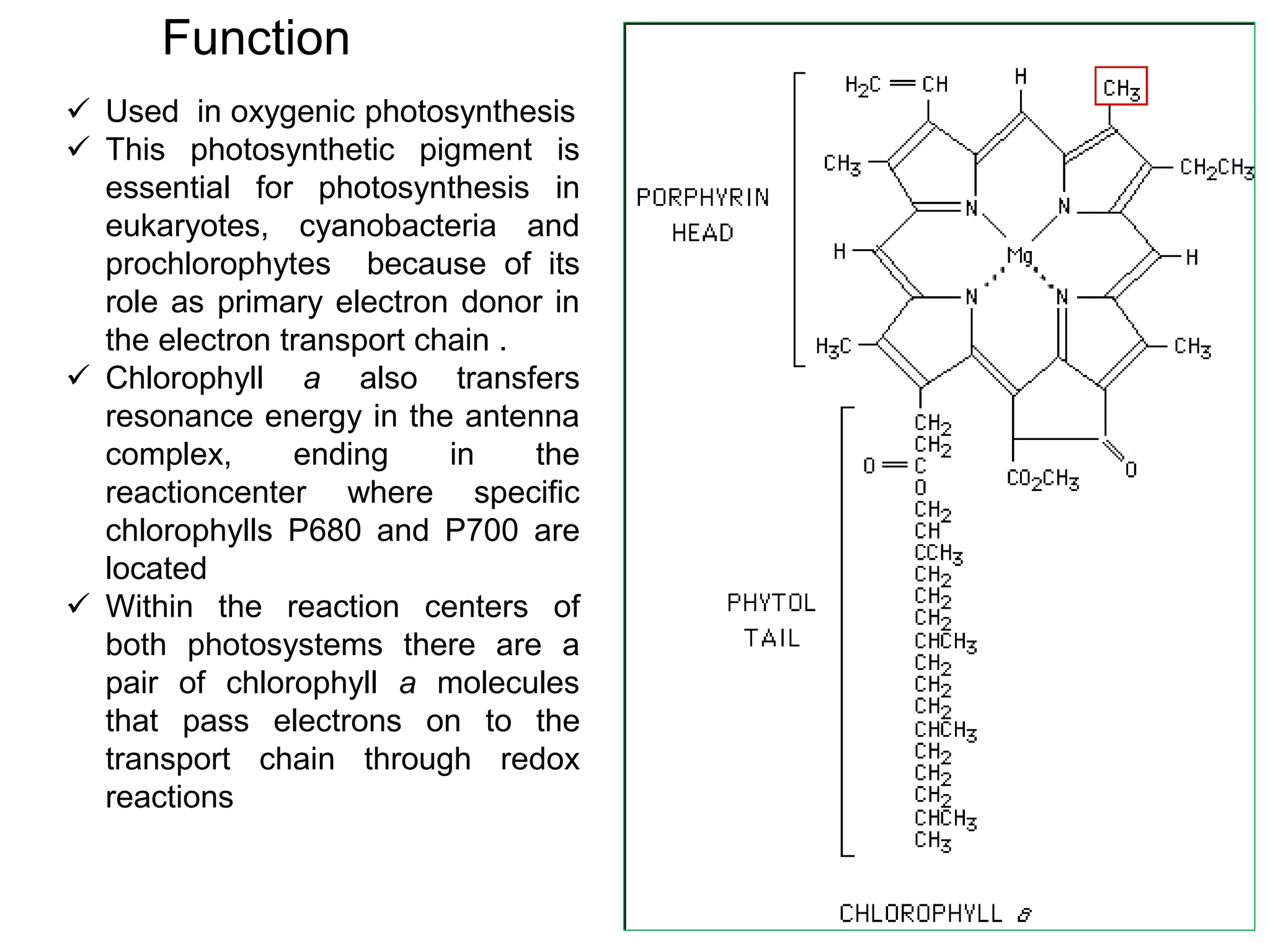 Algal pigments structure and function (2) | PPTX