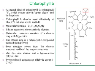 Algal pigments structure and function (2) | PPTX