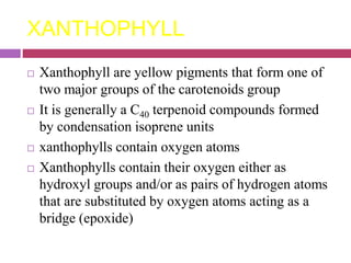 Algal pigments structure and function (2) | PPTX