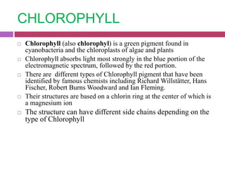 Chlorophyll Structure And Function