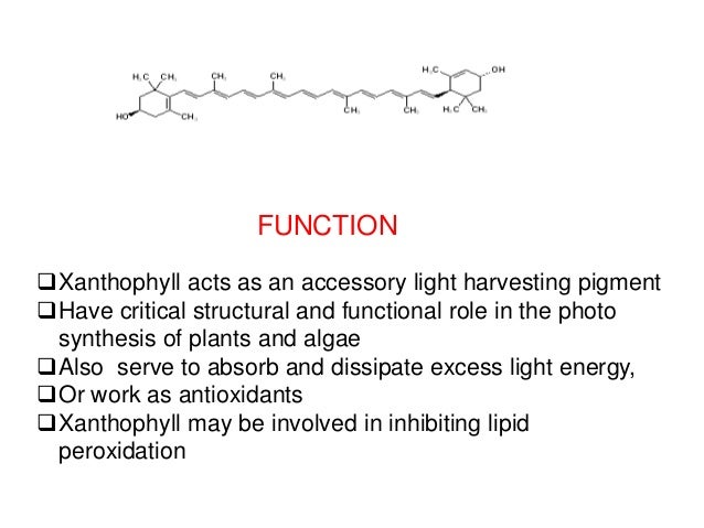 Xanthophyll Function