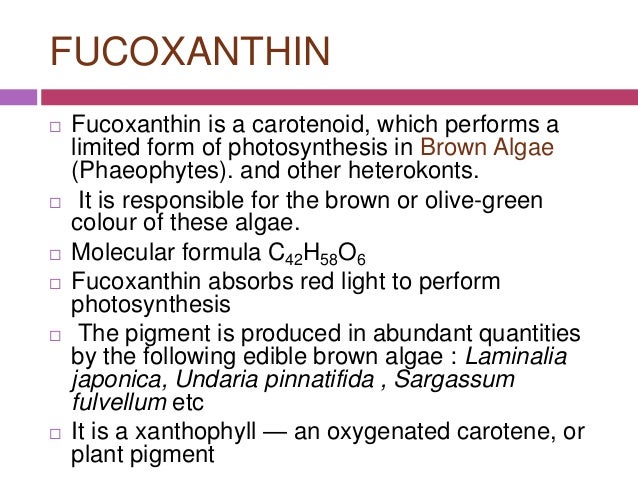 Algal pigments structure and function (2)